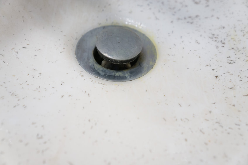 Top Culprits Behind Gurgling Drains